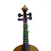 Notes On The Violin: The D String